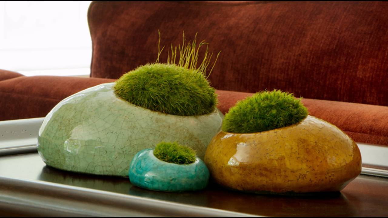 [Garden Ideas] Indoor rock garden ideas - YouTube