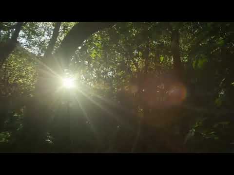 Billie eilish, khalid - lovely song | explore nature | whatsapp status | ❤️