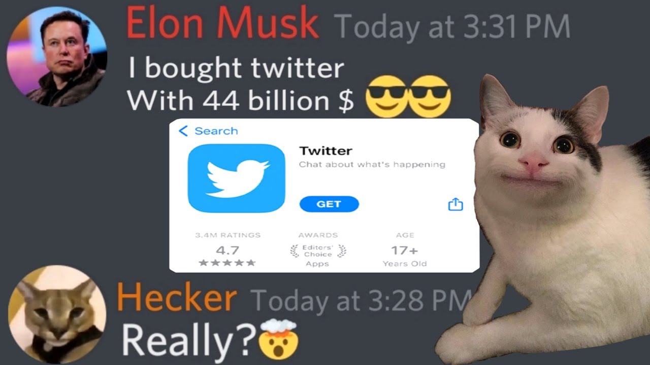 When Elon Musk buys Twitter...( Elon Musk vs Beluga) - YouTube