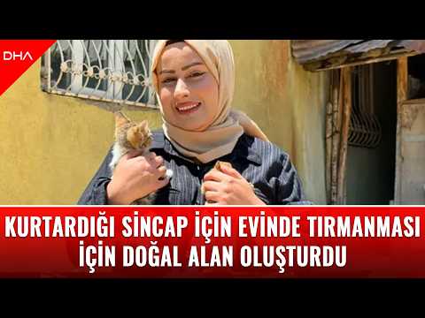 Kurtardığı sincap için evinde tırmanması için doğal alan oluşturdu