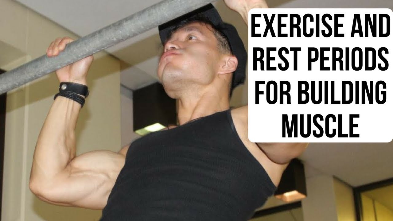 Exercise Order and Rest Periods for Building Muscle - YouTube