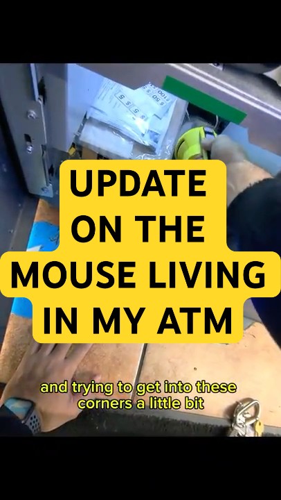 UPDATE on Mouse Living in My ATM… #atm #atmbusiness #business #money # ...