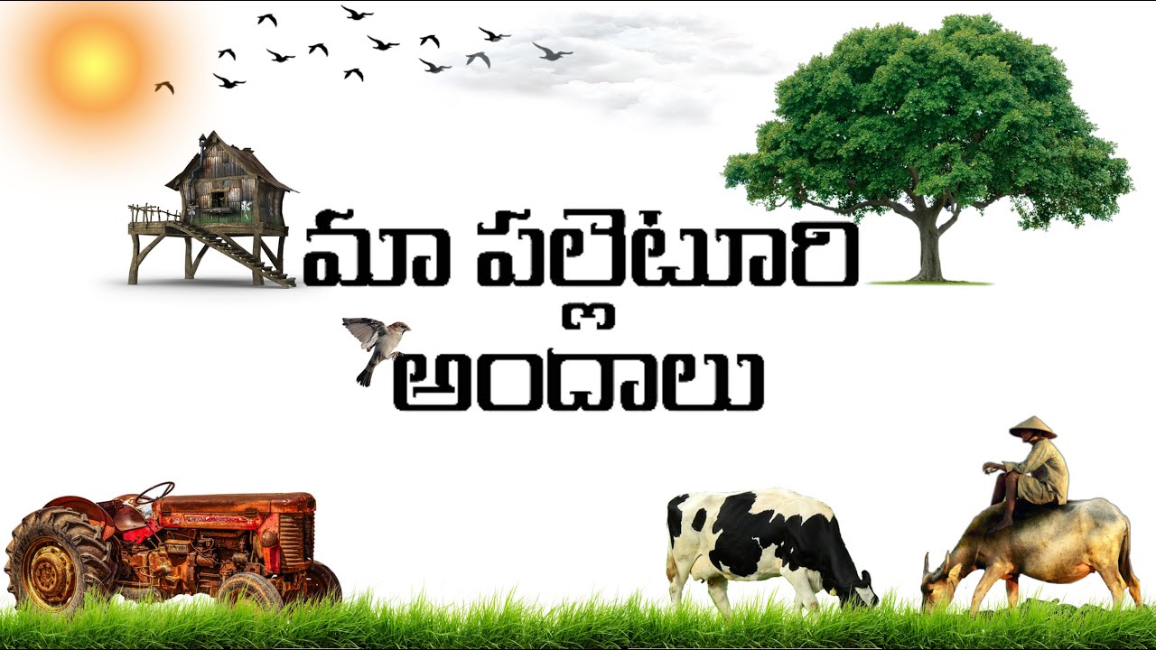 Maa Palleturi Andalu || Ramakur || My Family Blog Photography - YouTube