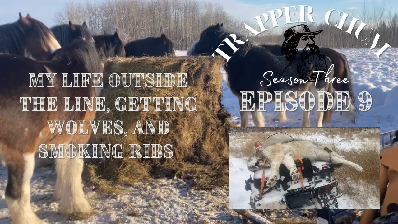 SEASON THREE: Episode 9 My Life Outside the Line, Getting Wolves, and ...