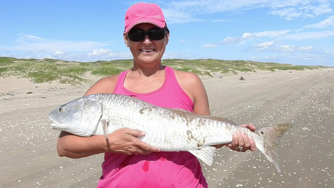 The Mullet Are Running - YouTube