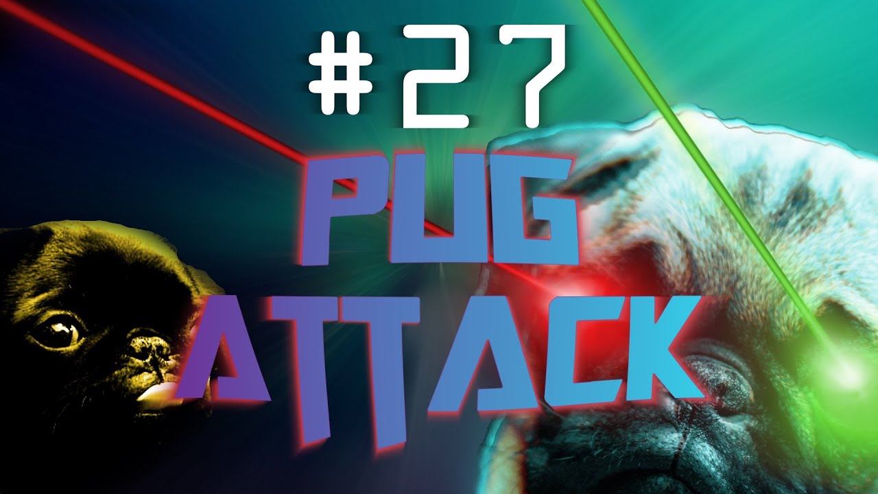 #27 - Pug Attack [LOOP] - YouTube