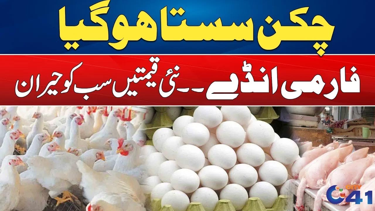 Today Rate list | Chicken Prices Drop! Massive Cut in Broiler Rates ...
