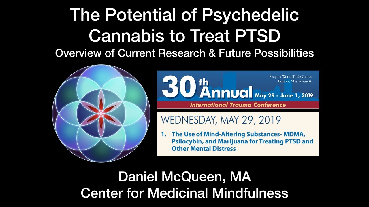 The Potential of Psychedelic Cannabis to Treat PTSD - Daniel McQueen ...