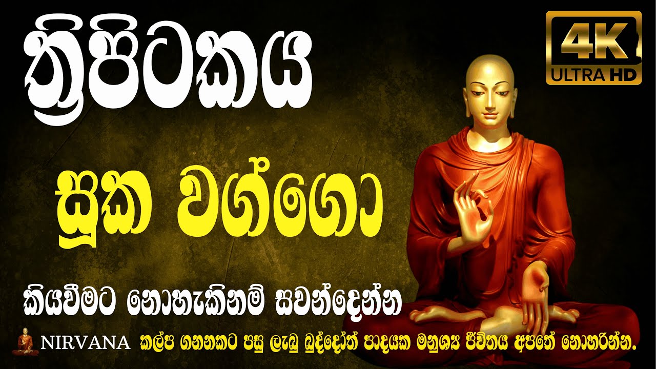 Tripitakayaත්‍රිපිටකය අංගුත්තර නිකාය1ඒකක නිපාතෝ5 සූකවග්ගෝ Youtube
