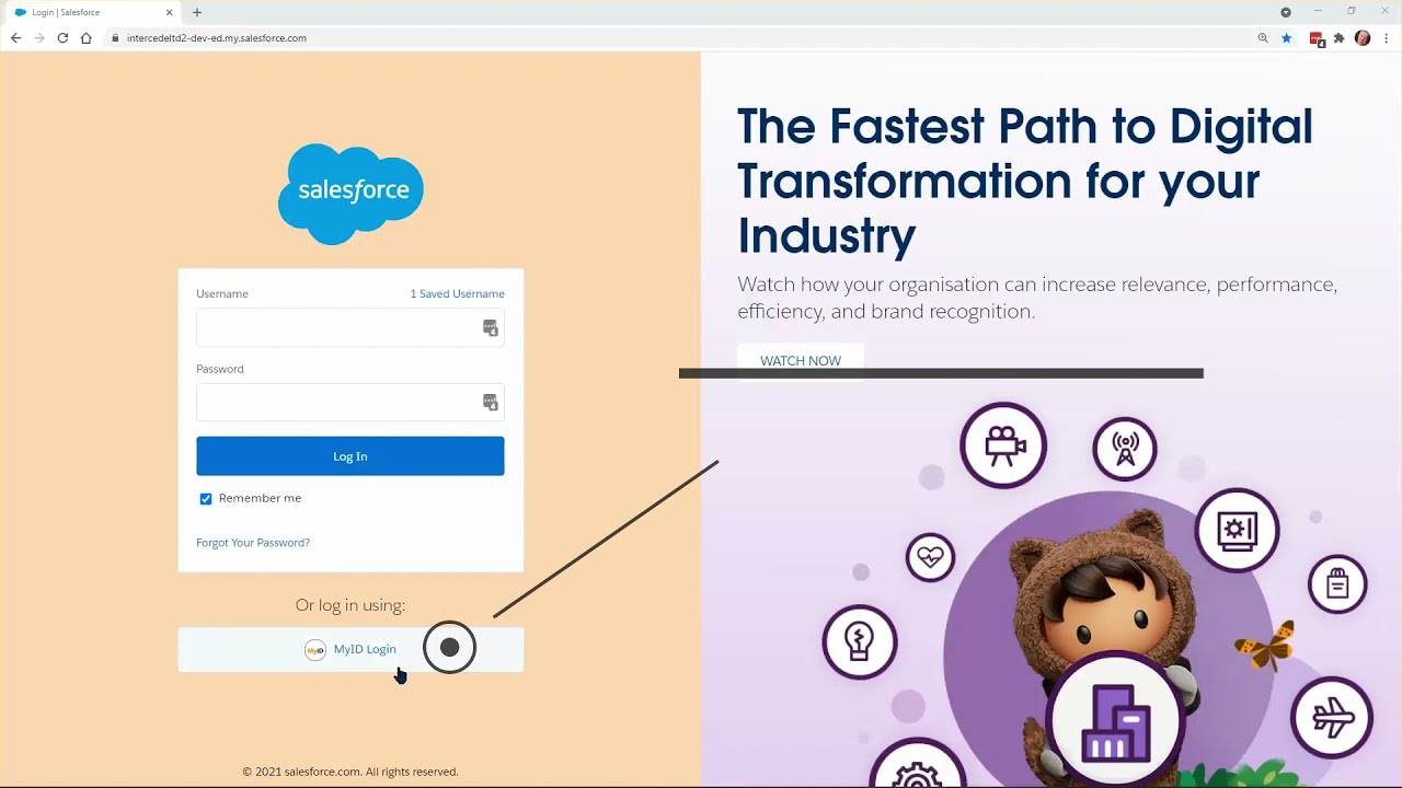 FIDO User Experience: Login to Salesforce with MyID - YouTube