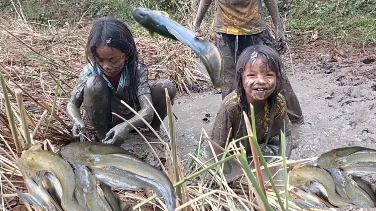 children find Fish| Fishing | - YouTube