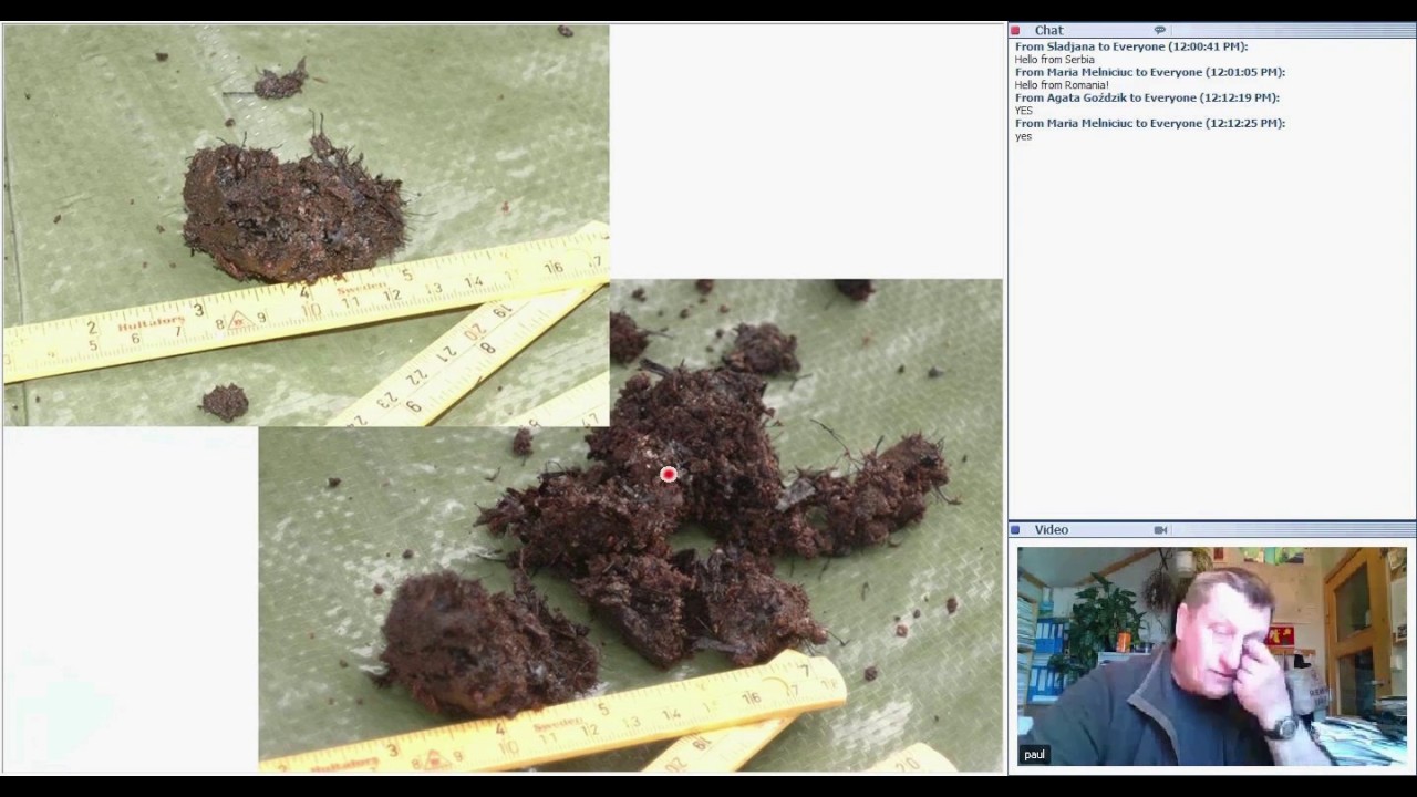 Palsas - the first stages of permafrost - YouTube