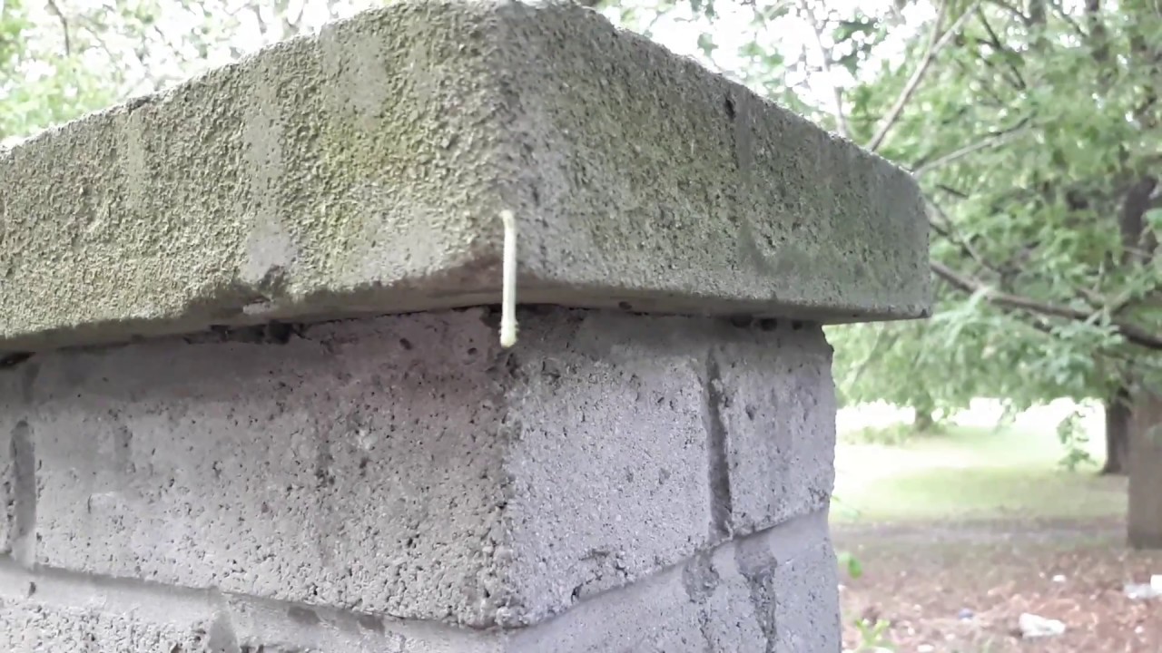 Inch worm hanging off ledge problem - YouTube