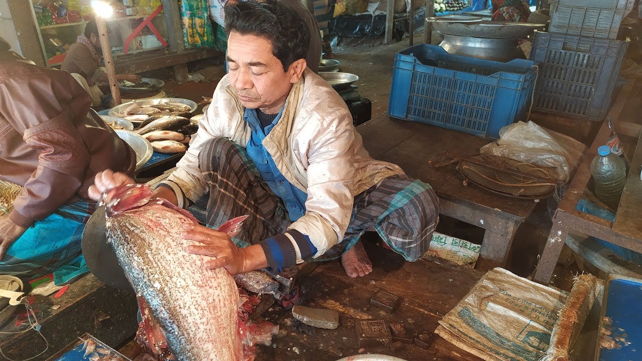 Huge Fish Cutting by Mid age Man in Fish Market | Slicing the Fish ...
