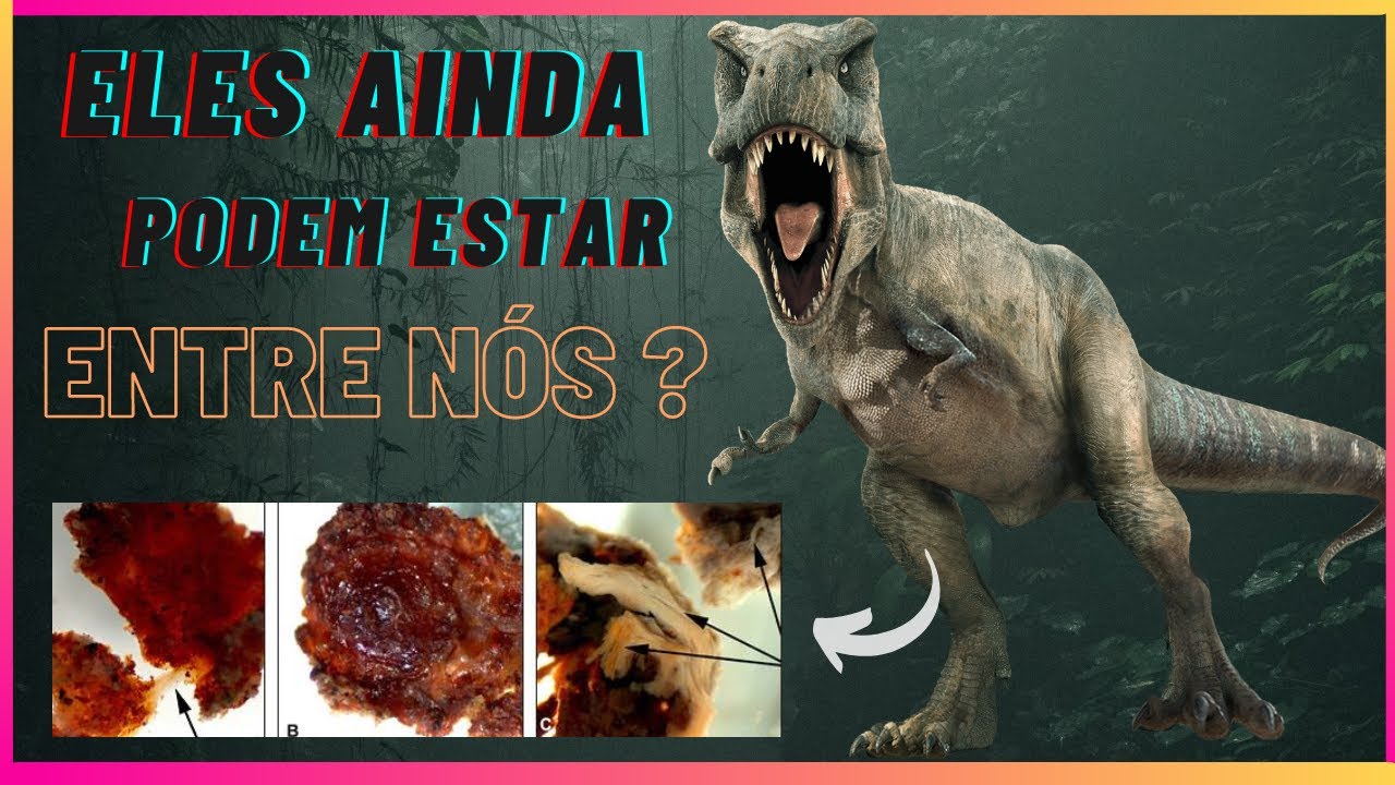 Rotina do Curioso: Tecidos Moles em Fósseis de Dinossauros! Eles ...