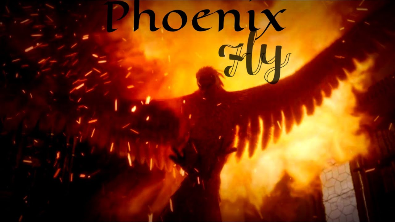 PHOENIX FLY • PHOENIX TRIBUTE HBD HIKARI - YouTube