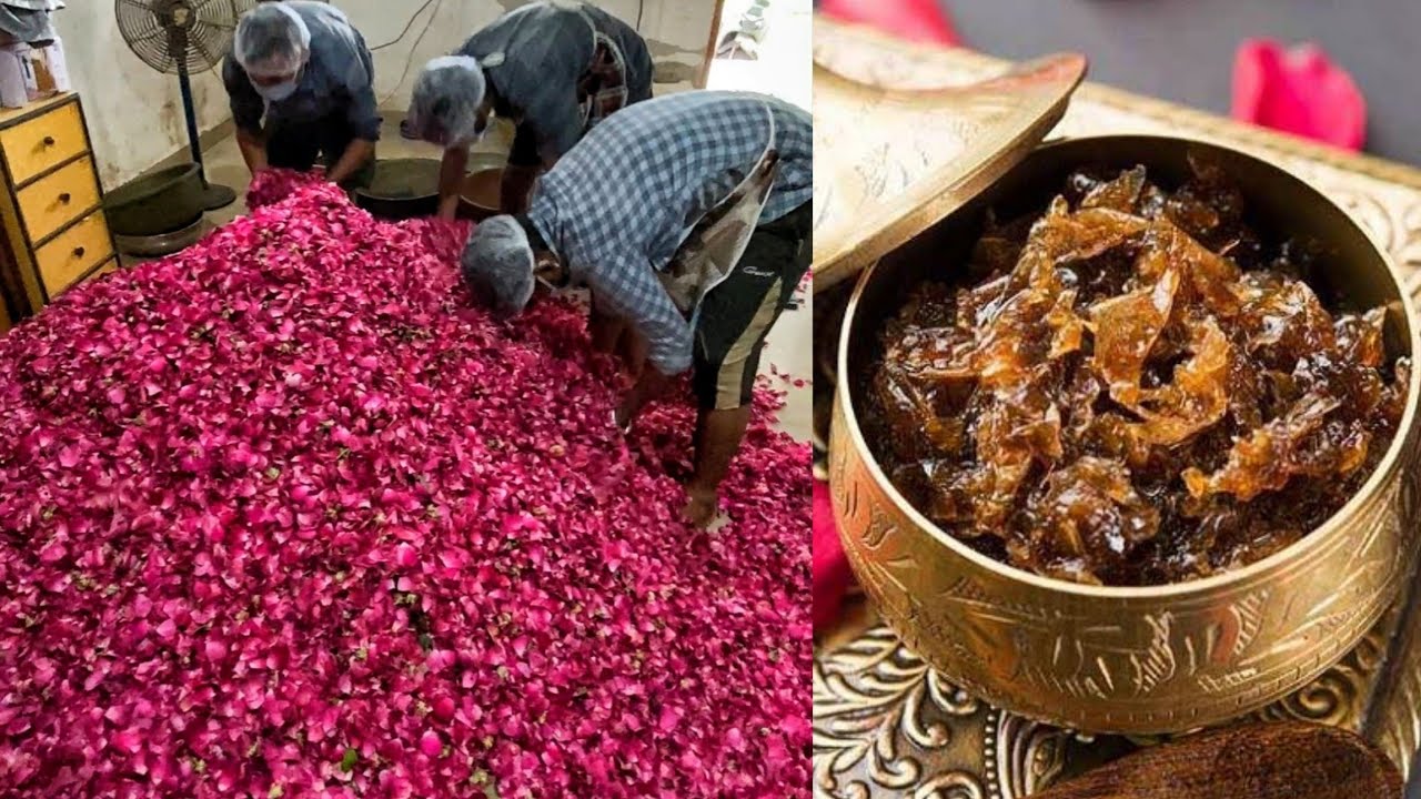 2000Kg Natural Gulkand Making in Gujarat😱😱आयुर्वेद की सबसे tasty खाने ...