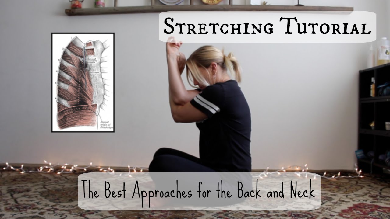 STRETCHING TUTORIAL: the Back and Neck! - YouTube