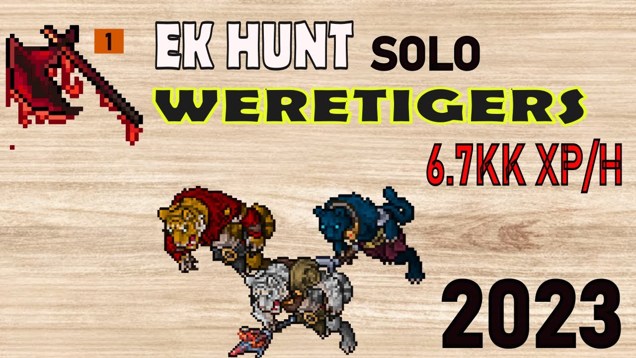 tibia hunt Weretigers // Ek 550+ 6.7kk XP Hunt Solo 2023 - YouTube