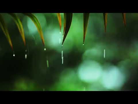 Cover by Kayla (Studio Version) - Tak Ingin Usai