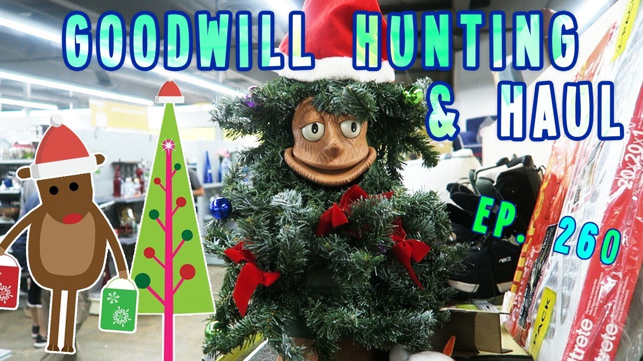 GOODWILL HUNTING & HAUL EP. 260 - YouTube