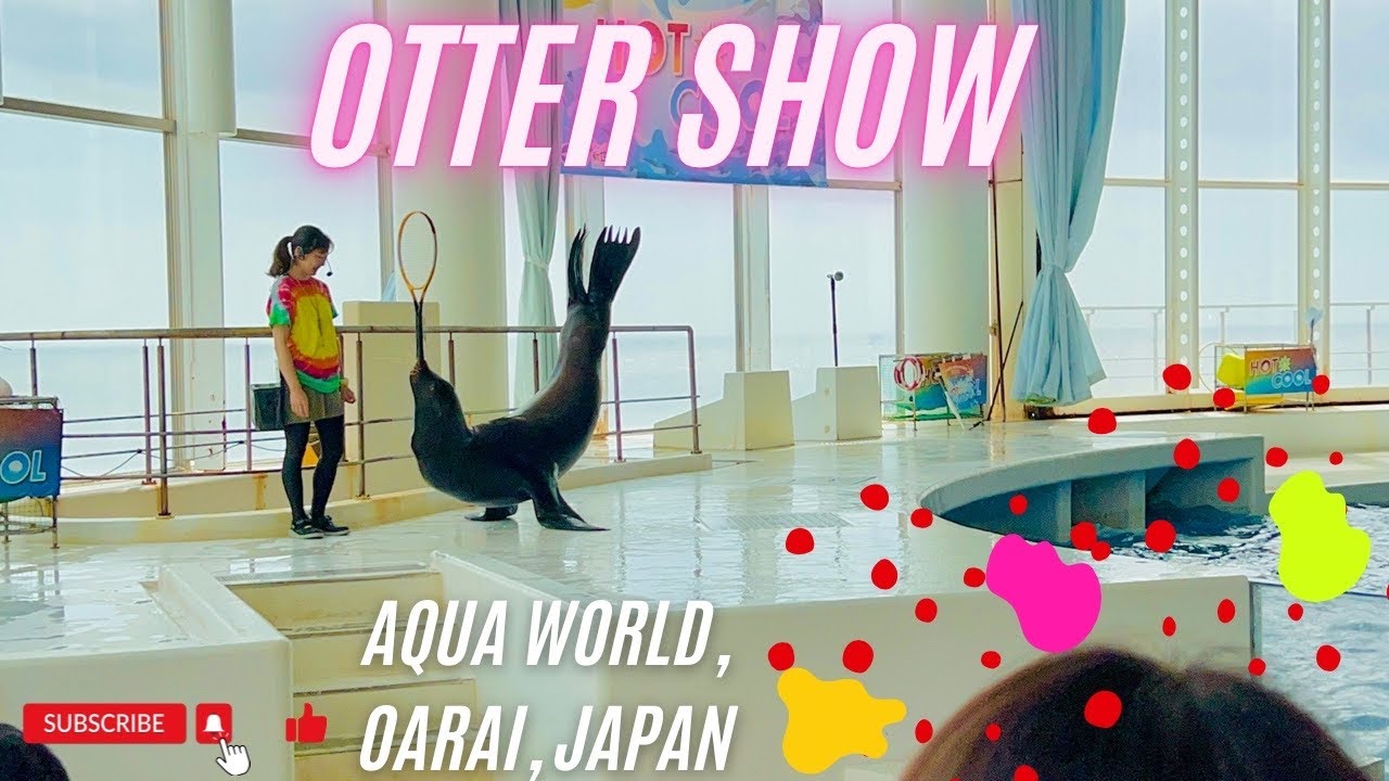 Otter Show 2022 | Oarai, Japan | Healing Steps - YouTube