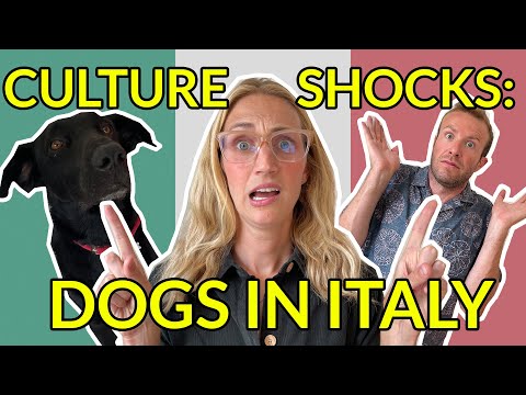 CULTURE SHOCKS OF HAVING A DOG IN ITALY