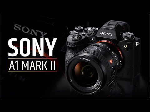 Sony A1 Mark II - Finally A Flagship Camera?