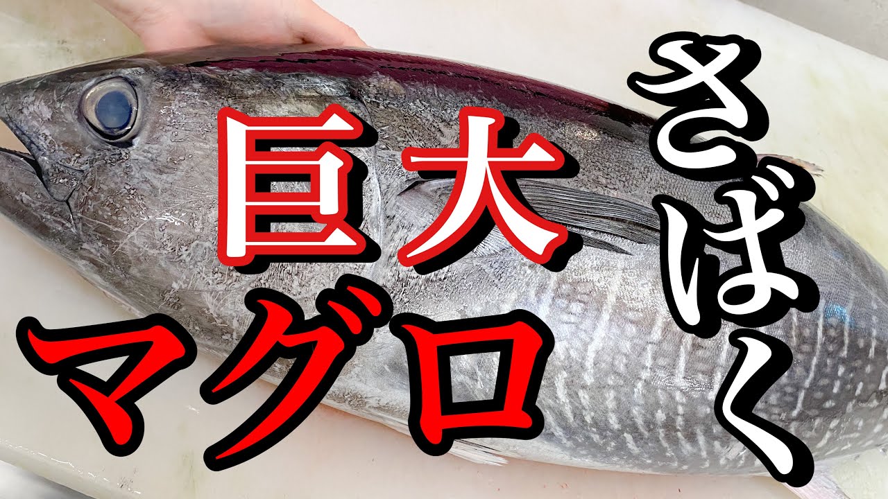 元水産庁職員が教える！マグロを賢く買うための通なリクエスト「刺身よりもサクよりも断然お得でおいしい」 鬼女の徒然まとめダイアリー 4321