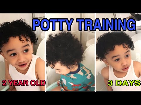 HOW TO POTTY TRAIN YOUR 2 YEAR OLD IN 3 DAYS |POTTY TRAINING TIPS ...