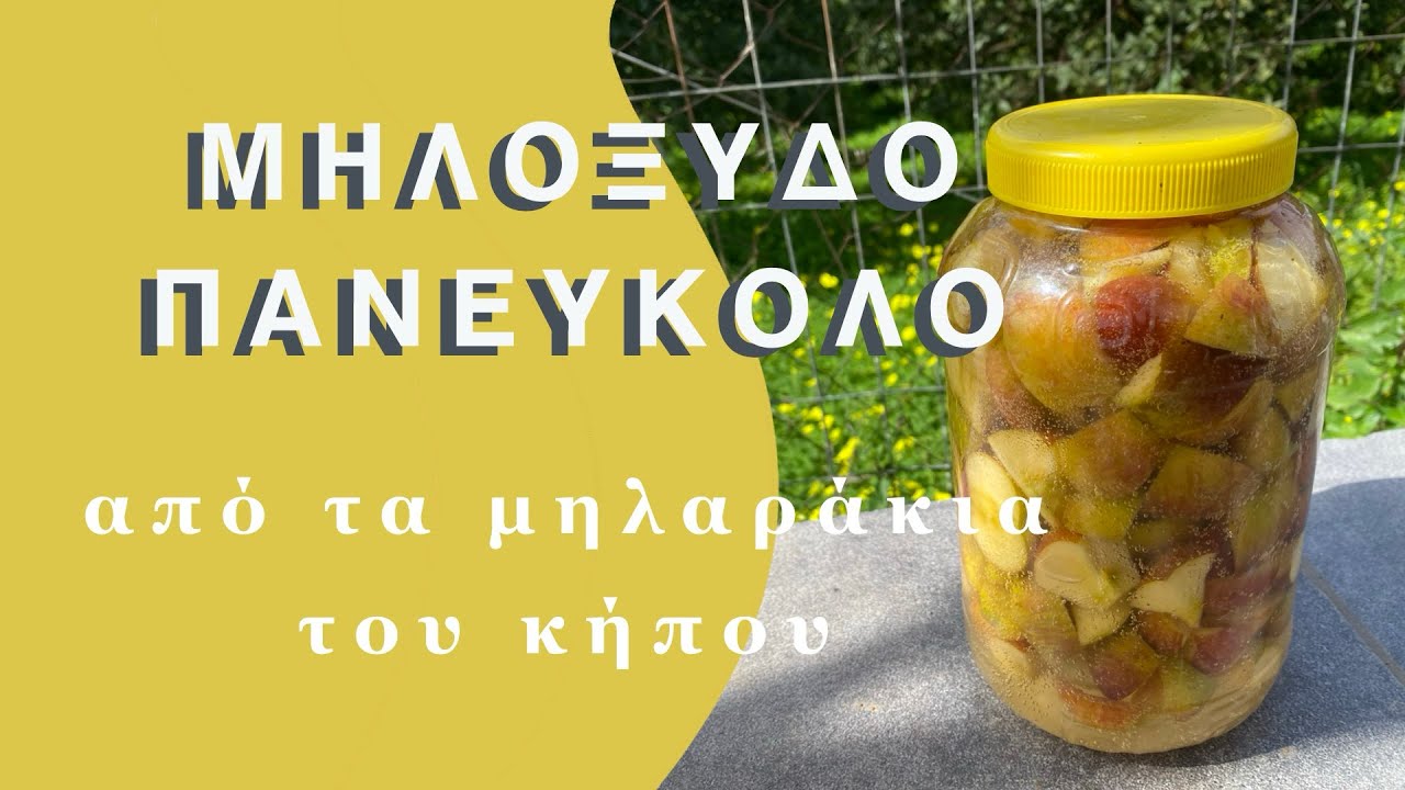 Φτιάξτε ΜΗΛΟΞΥΔΟ ΠΑΝΕΥΚΟΛΑ - από τα μηλαράκια του κήπου ή του μανάβη ...