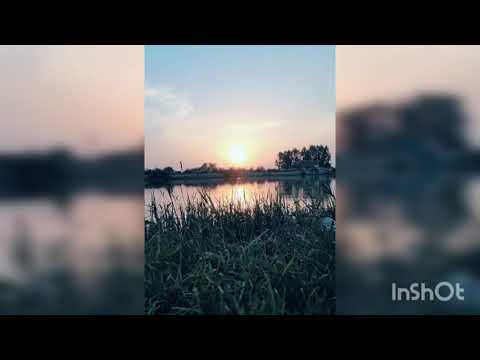 Whatsapp status 🌱🍀#whatsappstatus #nature #oldisgold