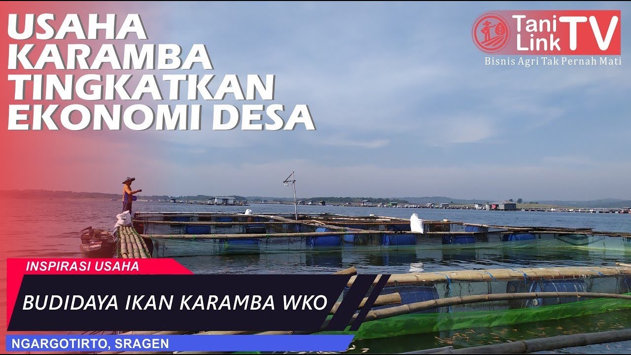 Budidaya Ikan Karamba Tingkatkan Ekonomi Desa - YouTube