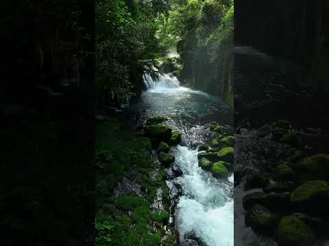 Seni özledim anne 