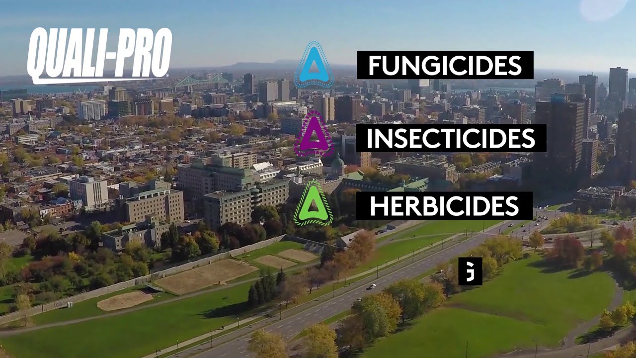 2021 Quali-Pro Overview - YouTube