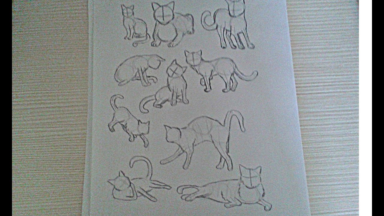 #1 Ako sa kreslí-mačka [How to draw] - YouTube