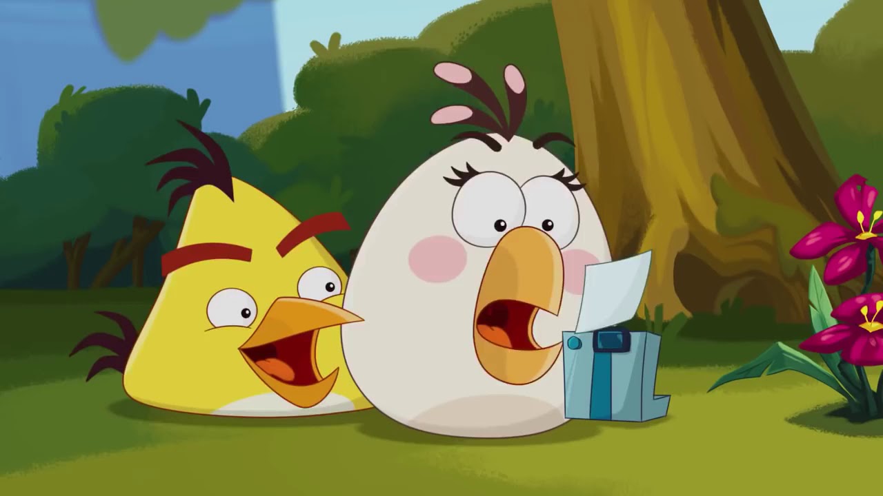 Angry Birds Toons Season 3 Episode 24 Photochucked - YouTube