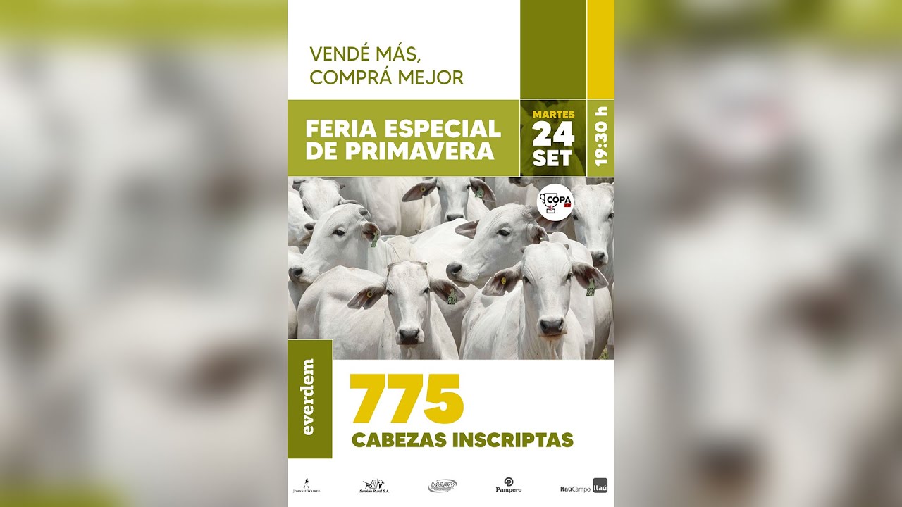 EN VIVO | Feria Especial de Primavera • Everdem - YouTube