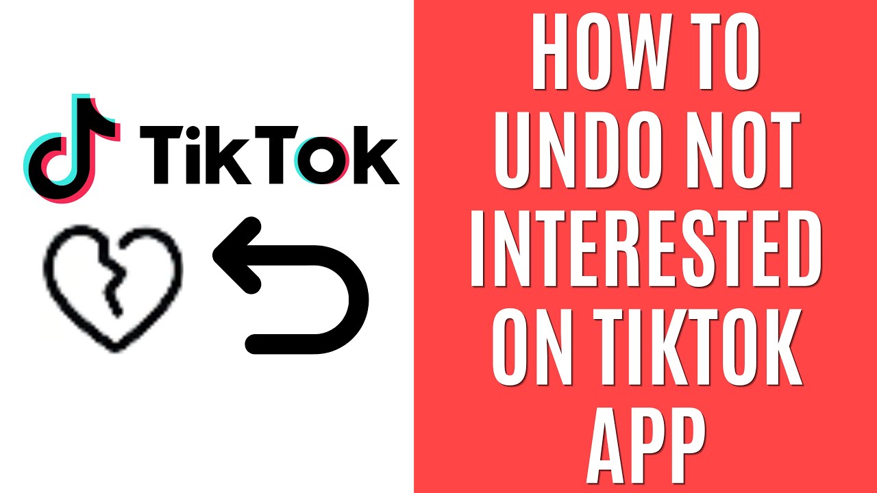 How to Undo Not Interested on TikTok App [Quick Guide] - YouTube
