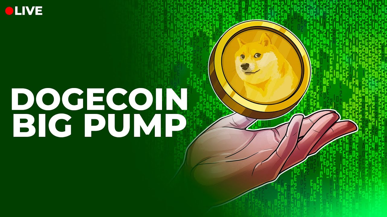 Elon Musk talks about Dogecoin Pump | Dogecoin will BLOW up to $1 ...