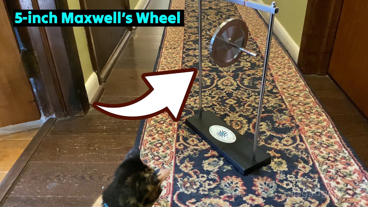 United Scientific MAXW01 Large Maxwell's Wheel Science Toy Tested ⭐ ...