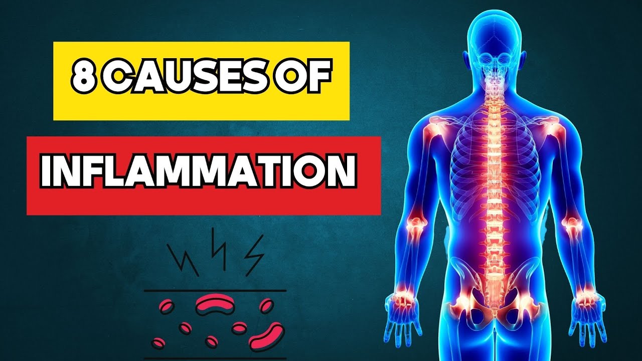 Top 8 Causes of INFLAMMATION In The Body - YouTube