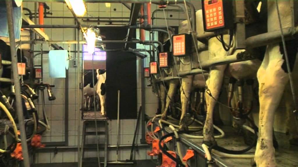 De Vlaamse landbouw, een sector in crisis - AP Stef Schelfhout - YouTube