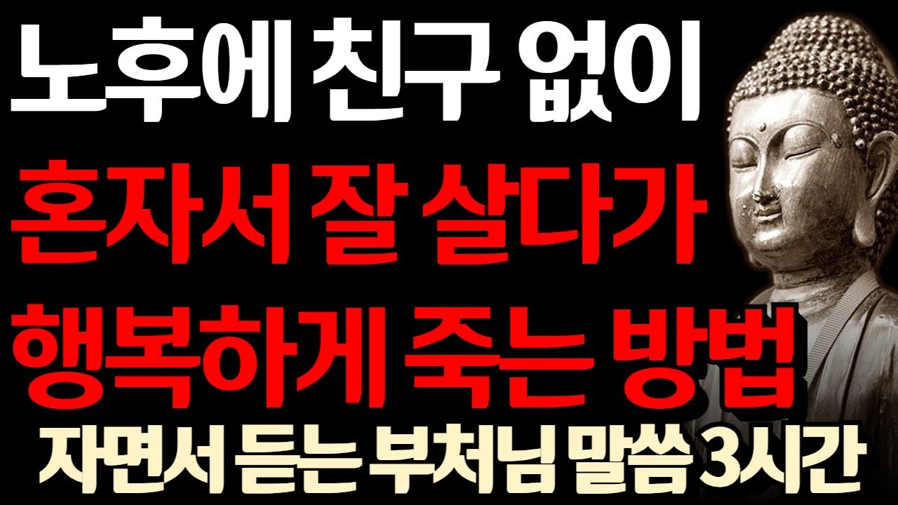 혼자 살다 죽는 것이 행복하다 노후에는 다 부질없다 이렇게 살아라 자면서 듣는 부처님 말씀 3시간 삶의 지혜 I 인생