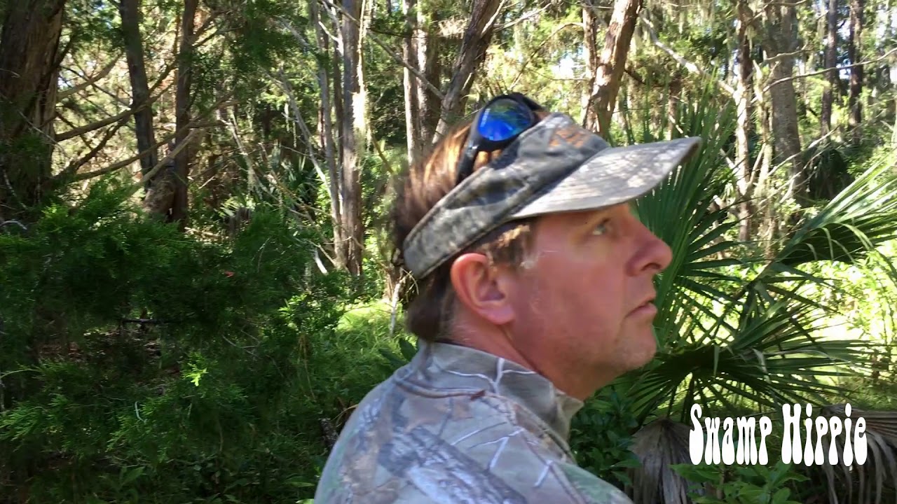 Swamp Hippie- Sapelo Island Hunting in October 2018 - YouTube