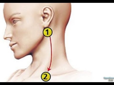 YÜKSƏK TƏZYİQİ AŞAĞI SALMAĞIN 4 ASAN YOLU
