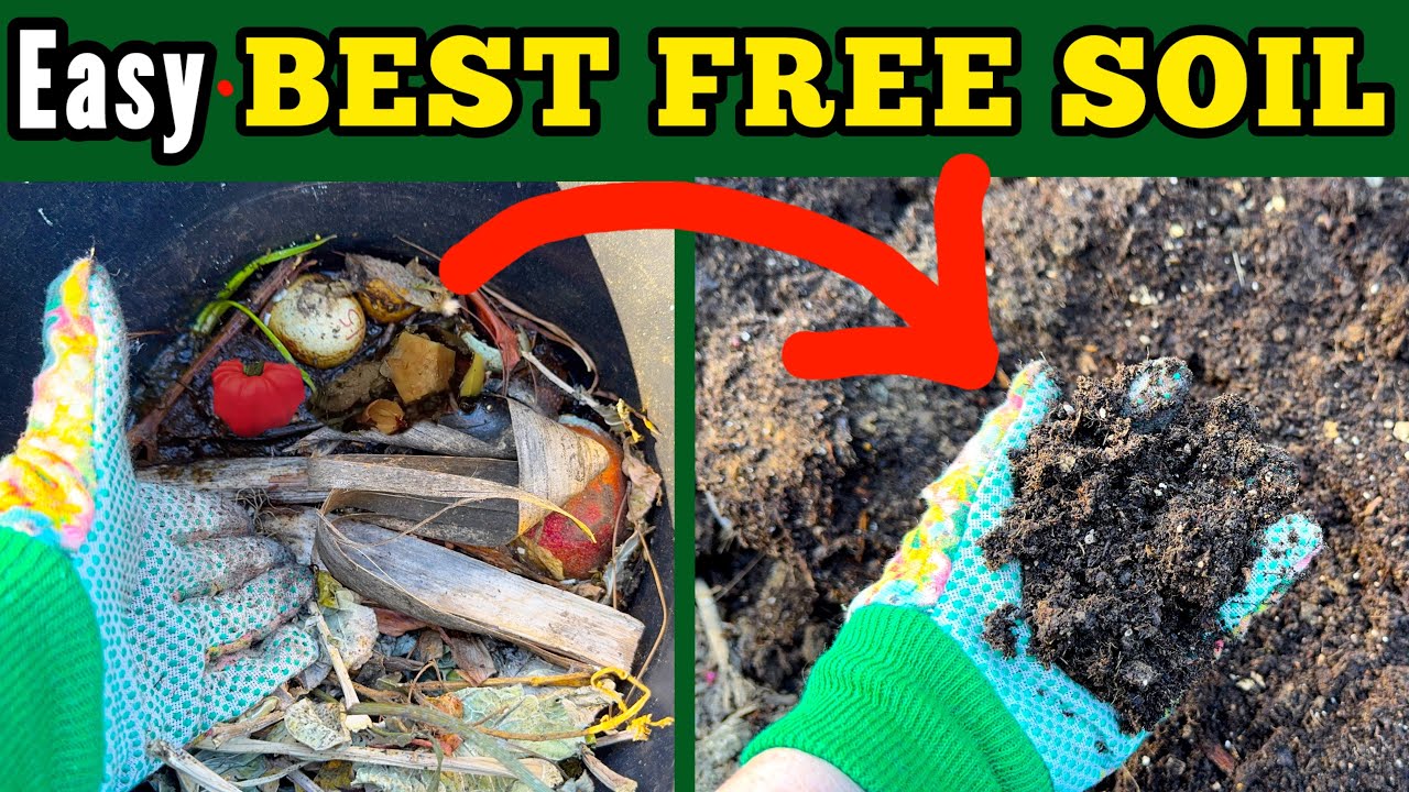 Create GREAT FREE Soil Saving TONS of Money Gardening Vegetables ...
