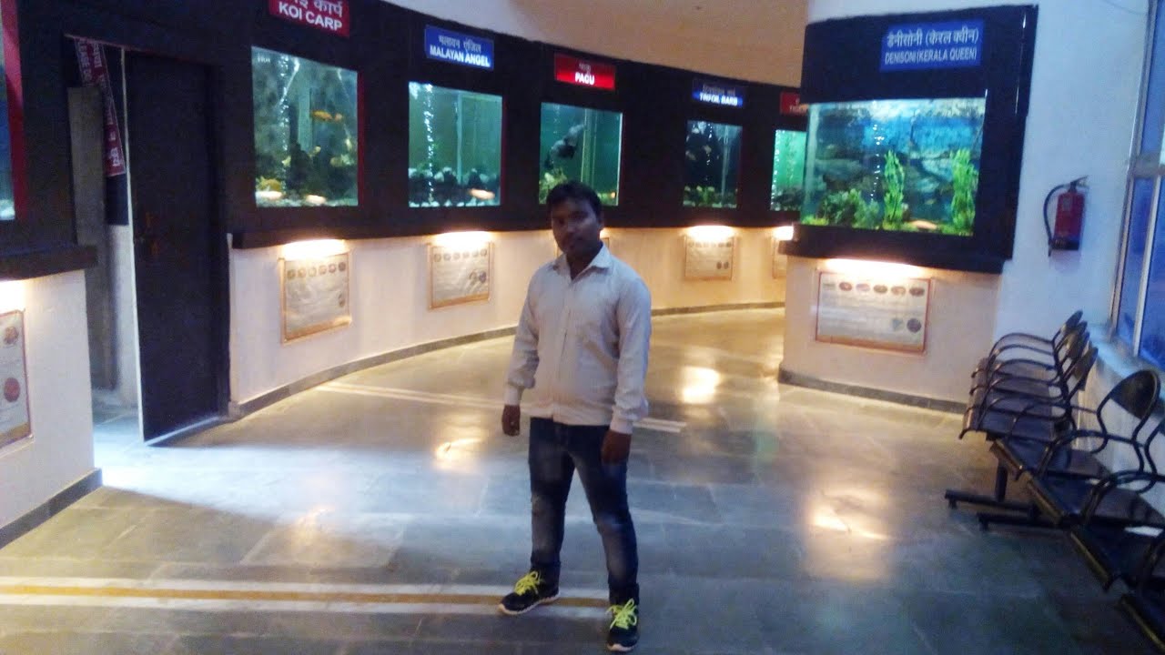 Ganga Aquarium in Lucknow - YouTube