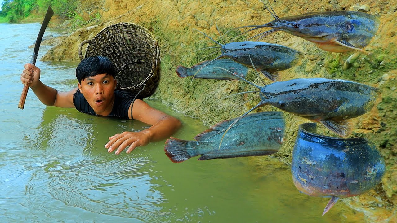 Wow really Amazing met fish source | the river is rich in fish-Eating ...