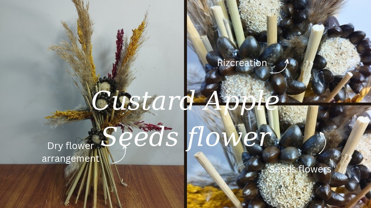 Diy|How to make Custard Apple Seeds Flower with arrangement|Sharefy k ...